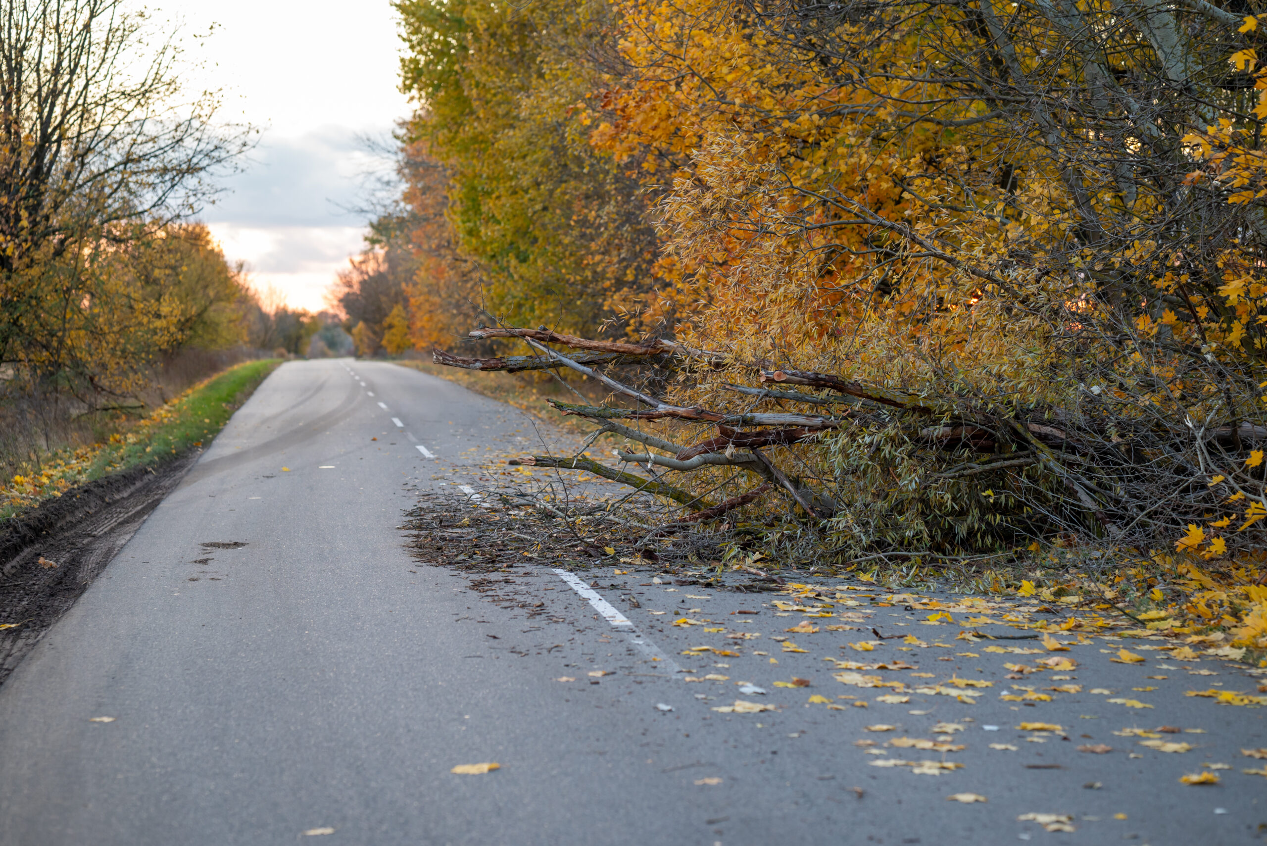 Who Pays When Swerving to Avoid Debris Causes an Accident | Dale Rose. PLLC